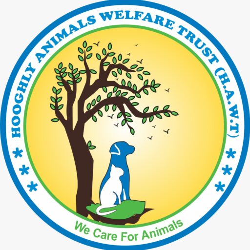 Hooghly Animals Welfare Trust - H A W T